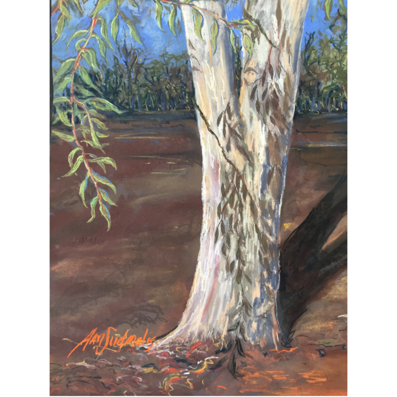 Gum Tree in Alice Springs – Reknu